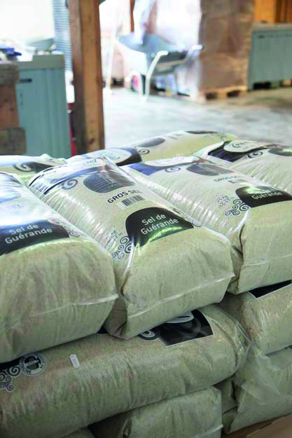 Sac de sel alimentaire 25 kg : naturel et artisanal,TRADYSEL